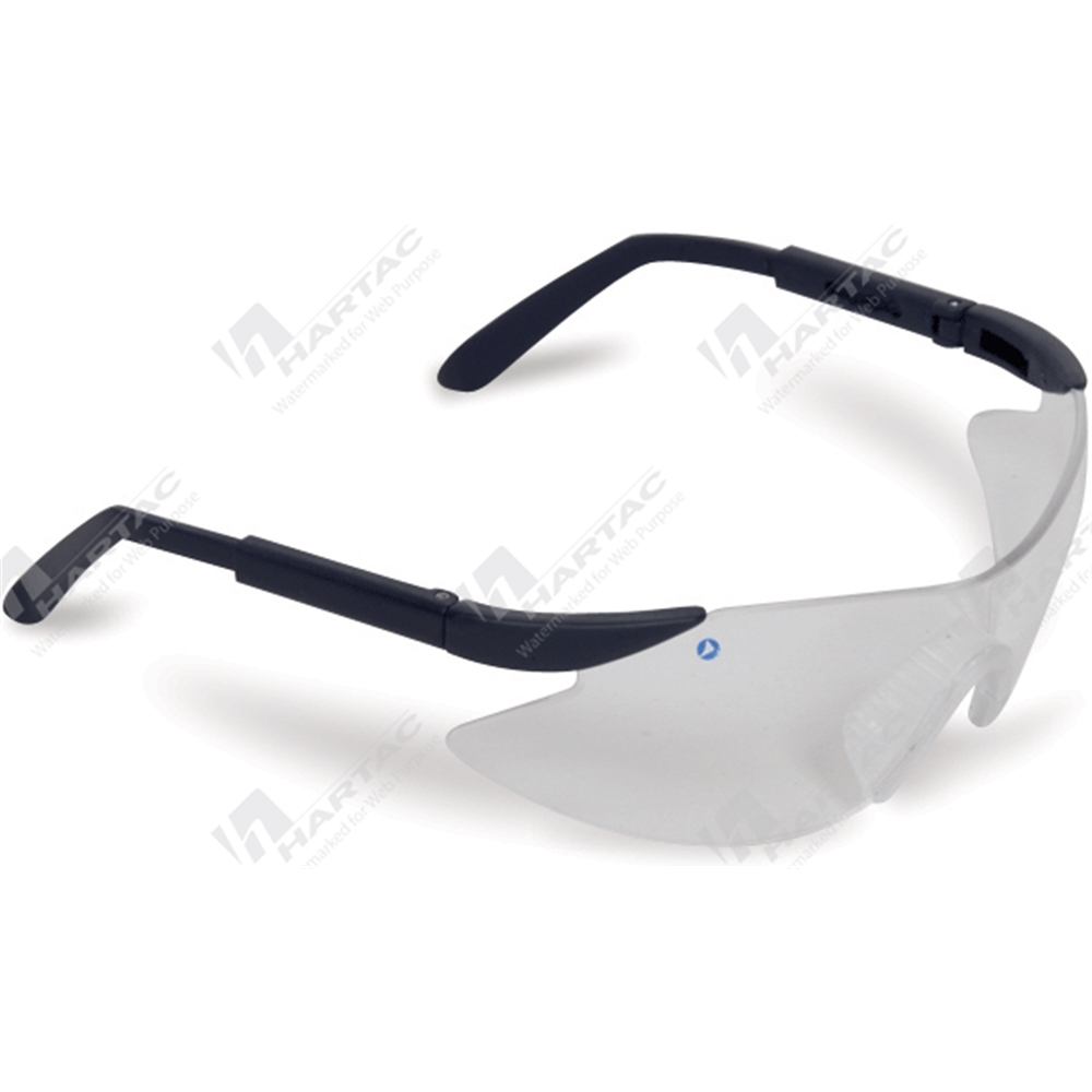 Eye Protection - ProChoice Phoenix Safety Glasses - Company Name ...