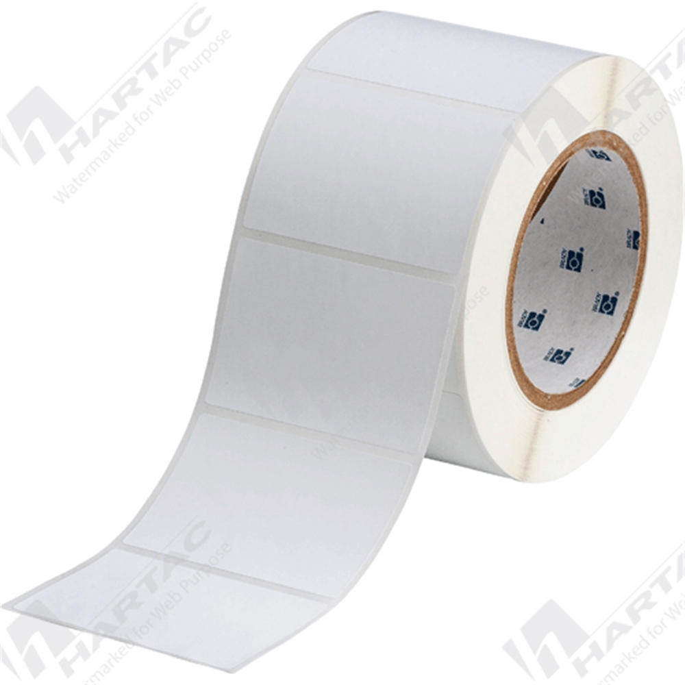 30184 - B-438 Tamper Evident Metallised Polyester Label For BBP®12 ...